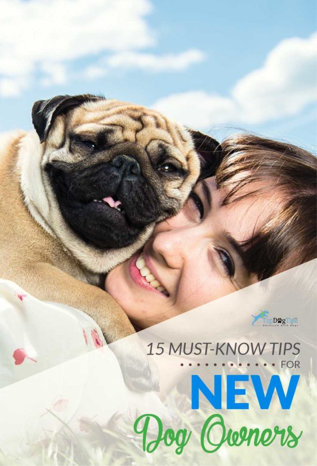 15 Must-Know Tips For New Dog Owners - Make Sure You Start Right!