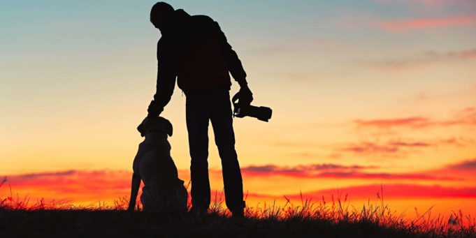 Dog Photography: The Ultimate Guide and Best Tips for Beginners