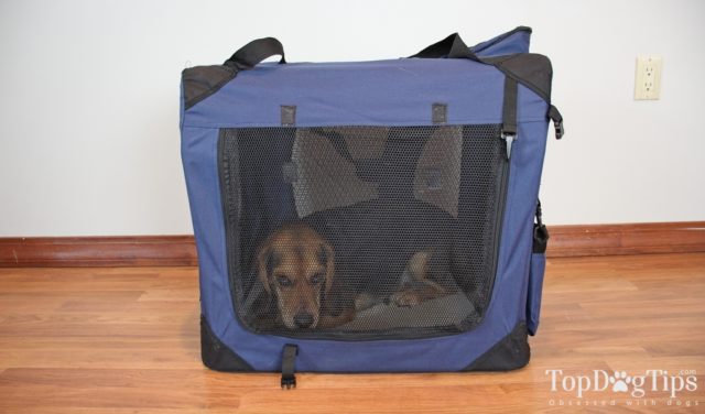 10 Best Portable Soft Dog Crates for Travel in 2020
