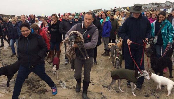 8 Most Extraordinary Dog Rescue Stories That'll Make You Smile