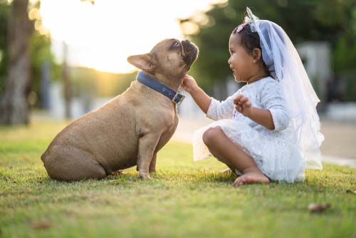 17 Small Dog Breeds That Are Good With Kids and Perfect for Families