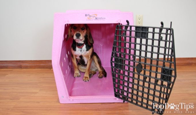 Ruff Tough Kennels Intermediate Single Door Kennel Review (2021)