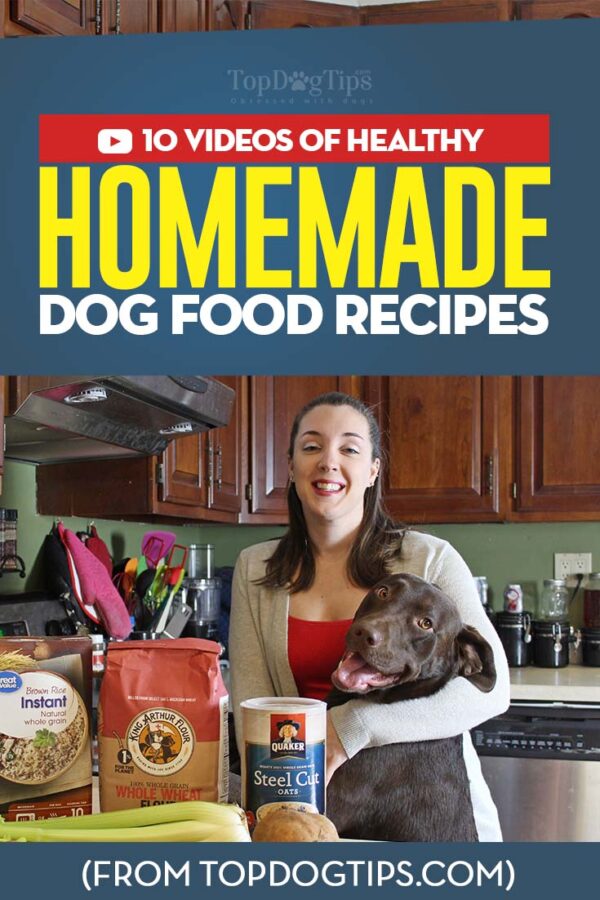 10 Popular Homemade Dog Food Recipe Videos – Top Dog Tips