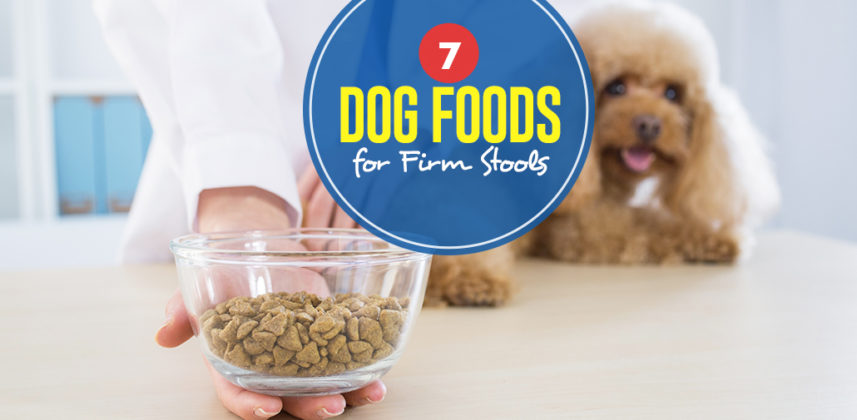 Top 7 Best Dog Food for Firm Stools Brands