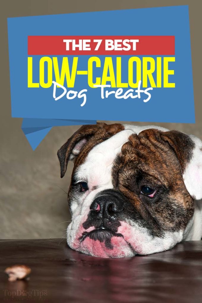 7 Best Low Calorie Dog Treats of 2020 (Good for Training and Dieting)