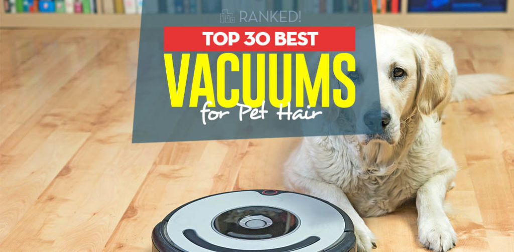 35 Best Vacuums for Dog Hair (Cheap, Mid-Range, and Luxury)