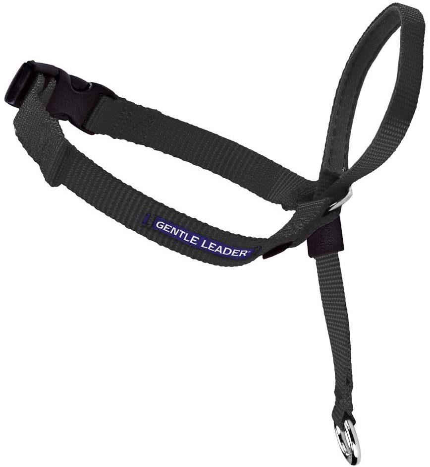 Top 50 Best Dog Harness for Walking (as rated by pet owners)