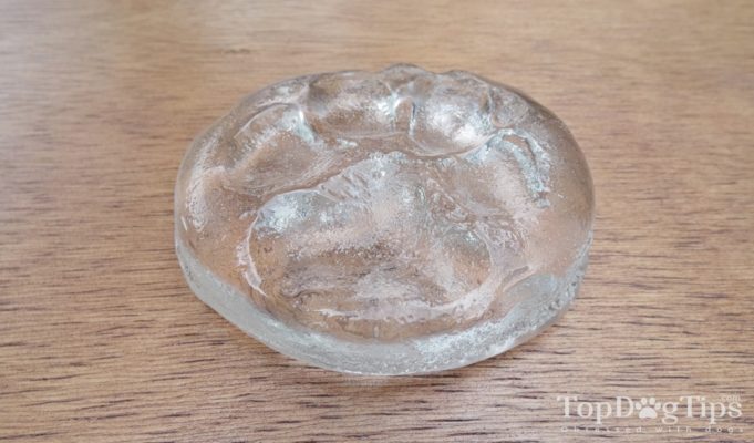 Hot Paws Personal Dog Paw Glass Art Kit Review
