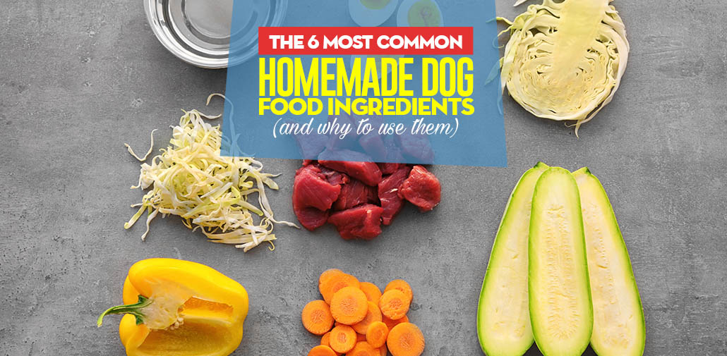 6 Most Common Homemade Dog Food Ingredients and Why Use Them 6 Most Common Homemade Dog Food Ingredients and Why Use Them