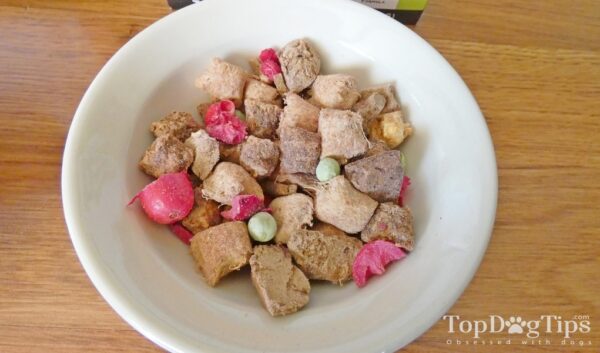 The Simple Food Project Freeze-Dried Dog Food Review