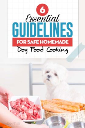 6 Nutritional Guidelines for Safe Homemade Dog Food Cooking – Top Dog Tips