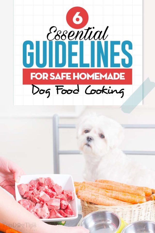 6 Nutritional Guidelines For Safe Homemade Dog Food Cooking Top Dog Tips