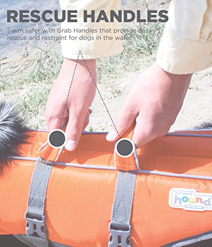 16 Things Your Dog Wants from Amazon – Top Dog Tips