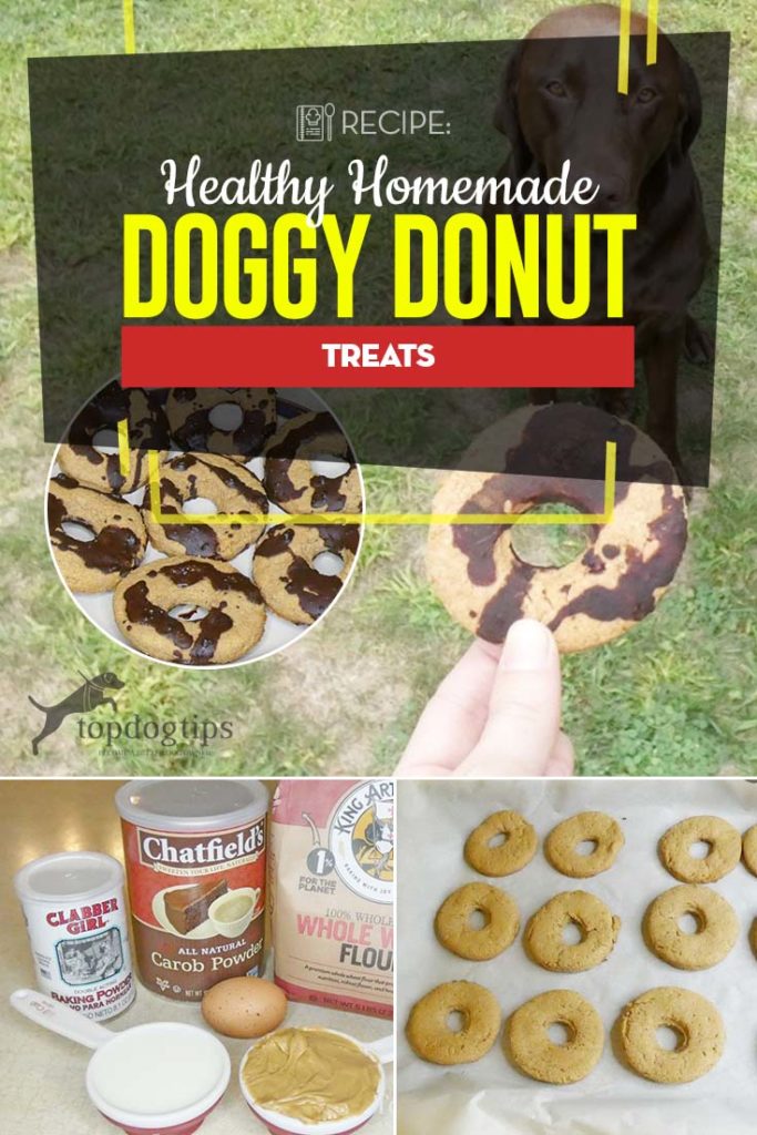 Recipe: Homemade Doggy Donut Treats – Top Dog Tips