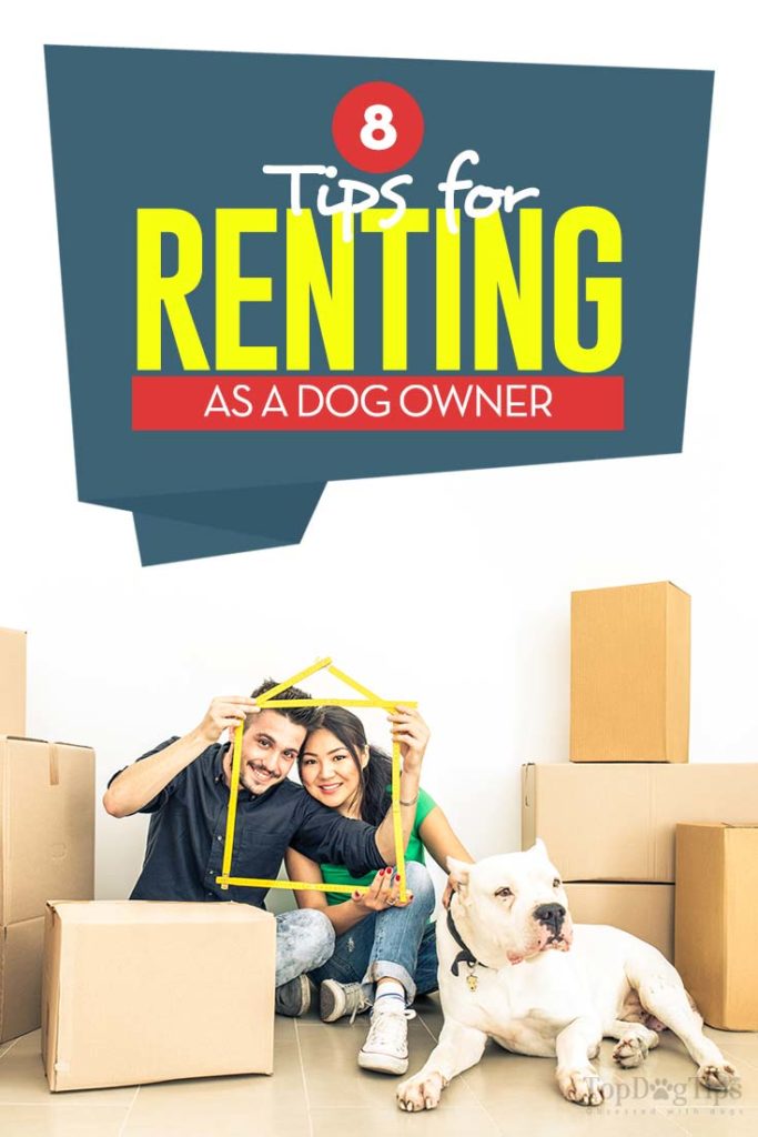 Renting with Dogs: 8 Tips for Leasing Apartment/House as a Pet Owner