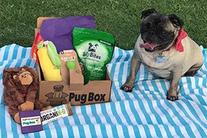Pug Box Dog Subscription Box Review - Is It Worth the Price Tag?