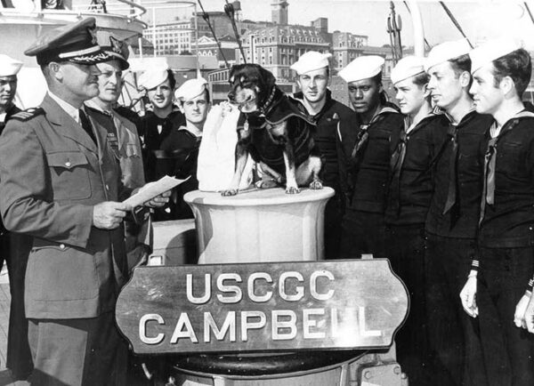 10 Most Famous Dogs in History (and Their Stories Worth Telling)