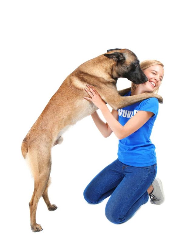How to Start a Dog Rescue: The Ultimate Step-by-Step Guide