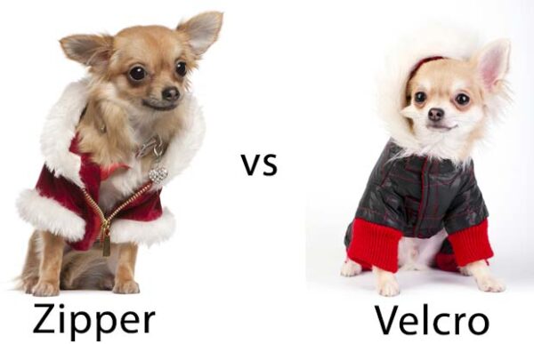 45 Best Dog Winter Coat Choices (Updated 2024)