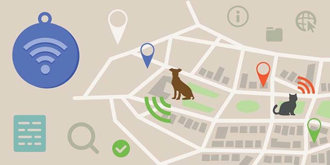 How to Find a Missing Dog: 10 Best Tips to Reunite You With Your Dog