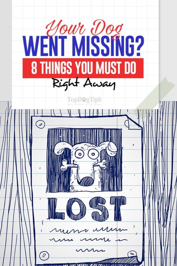 How to Find a Missing Dog: 10 Best Tips to Reunite You With Your Dog