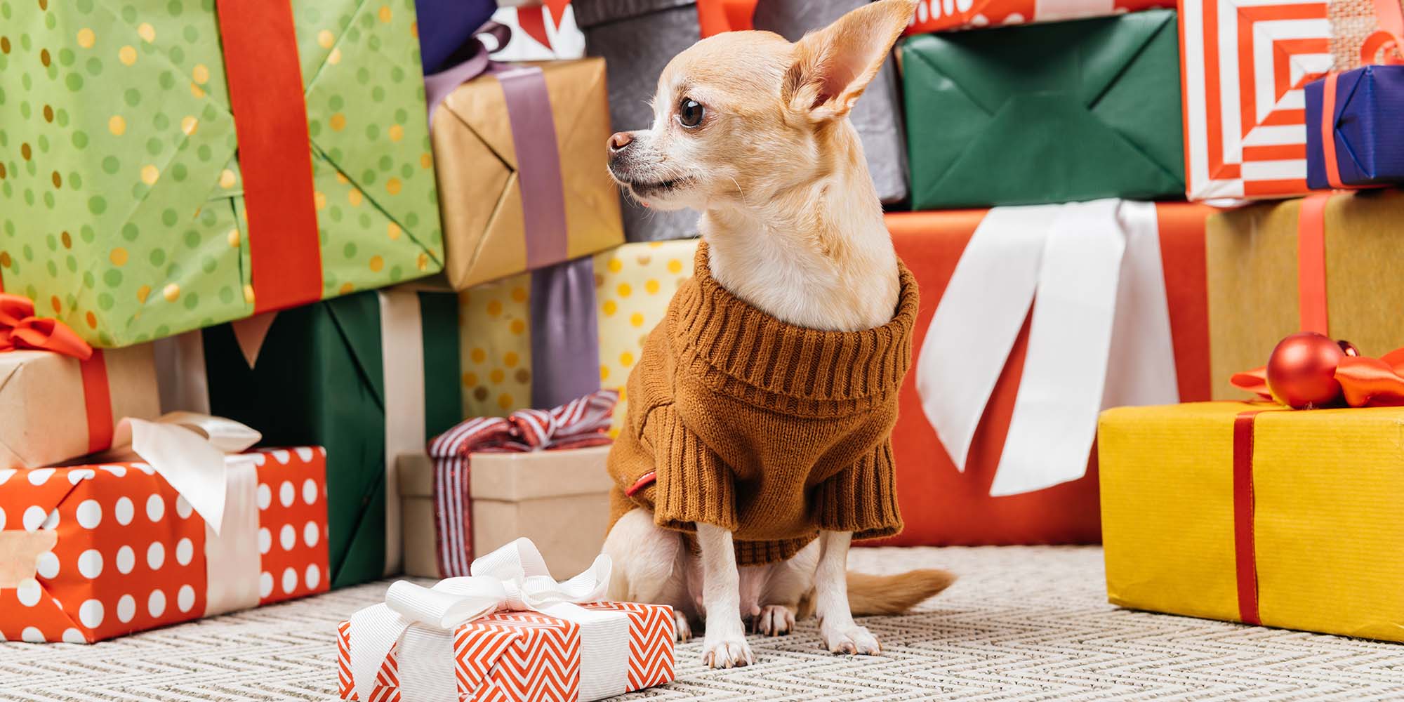101 Unique Gifts For Dog Owners 2022 Cheap Gift Ideas For Dog Lovers 101 Unique Gifts For Dog Owners 2022 Cheap Gift Ideas For Dog Lovers