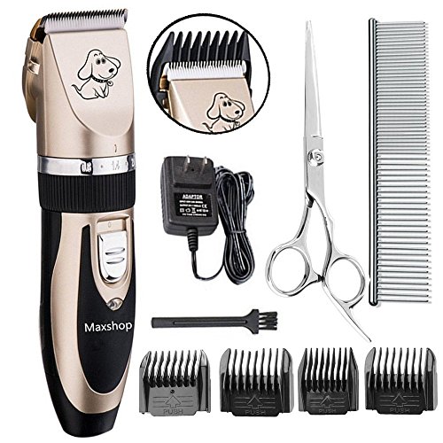 35 Best Professional Dog Clippers for Grooming Dogs in 2020