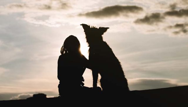 25 Ways to Be a Responsible Dog Owner - A New Owner's Starter Guide