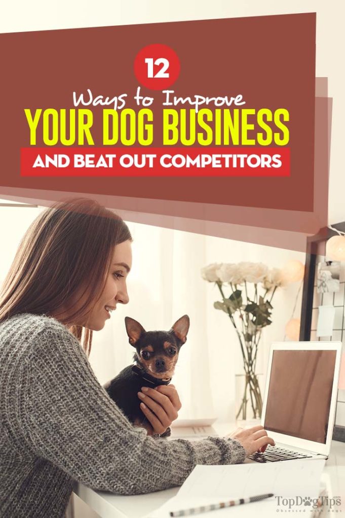 12 Ways to Improve Your Dog Business and Beat Out Competitors