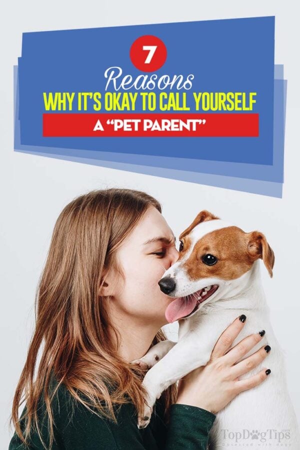 7 Reasons Why It S Okay To Call Yourself A Pet Parent Top Dog Tips