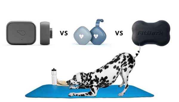 Best Fitness Tracker for Dogs Comparison (Fitbark vs Whistle vs Others)