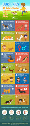 Kids and Dogs: 17 Rules to Keep Them Safe (And Happy)