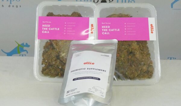 Ollie Fresh Dog Food Review (And What to Know About It)