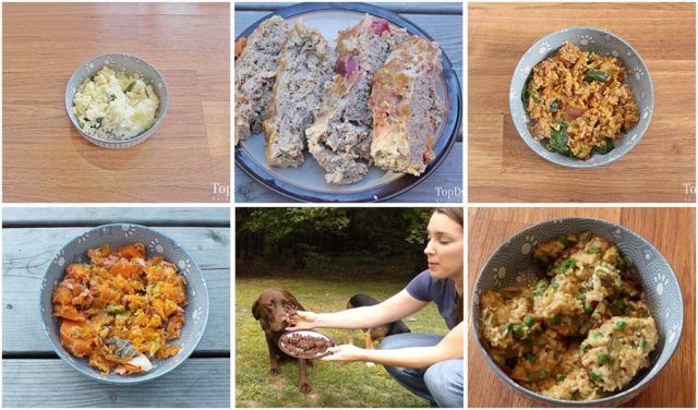 Home-Cooked Dog Food Recipes: A Vet's Science-based Guide