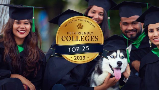 Top 25 Most Pet-Friendly Colleges of 2019