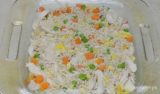 Homemade Dog Food for Chihuahua Recipe and Feeding Guide