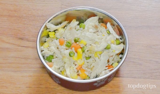 Homemade Dog Food for Chihuahua Recipe and Feeding Guide