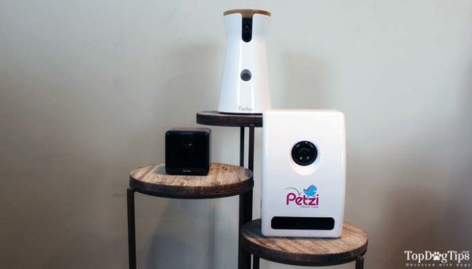10 Best Dog Cameras of 2020 (Large Pet Camera Test and Comparison)