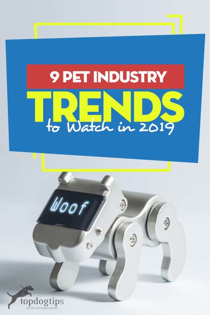 9 Pet Industry Trends to Watch in 2022 – Top Dog Tips