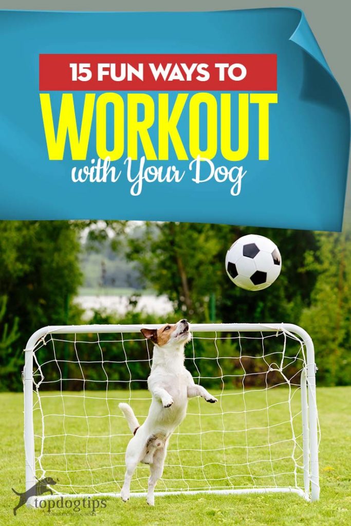 15 Fun Ways to Workout With Your Dog – Top Dog Tips