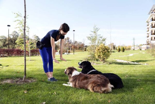 The Dos and Don’ts of Running with Dogs: Here's How to Do It Right