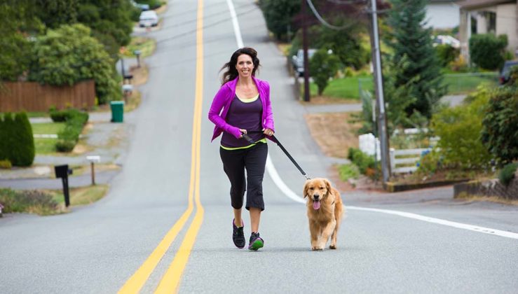 The Dos and Don’ts of Running with Dogs: Here's How to Do It Right