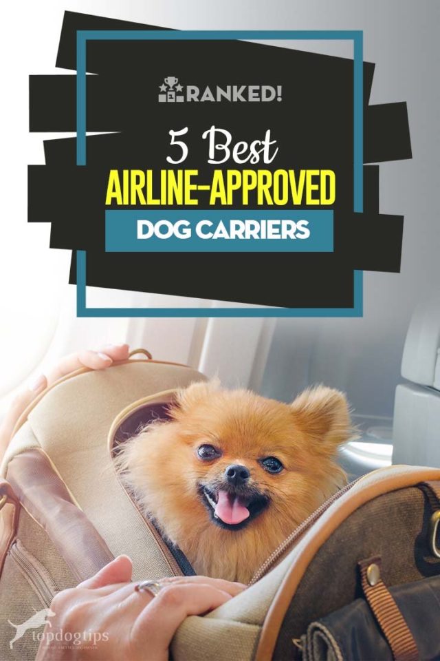 5 Best Airline Approved Dog Carrier Brands of 2020 (Fit for Most Airlines)