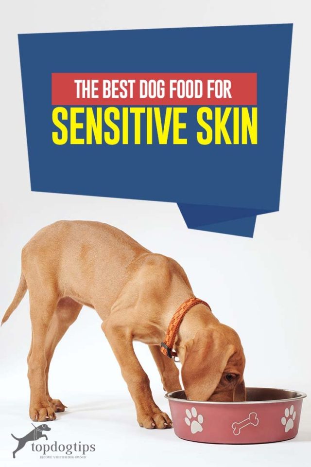 The Best Dog Food for Sensitive Skin (2020 Review and Buying Guide)
