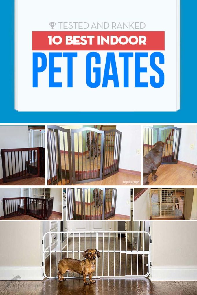 10 Best Indoor Pet Gates Testing, Review and Rankings