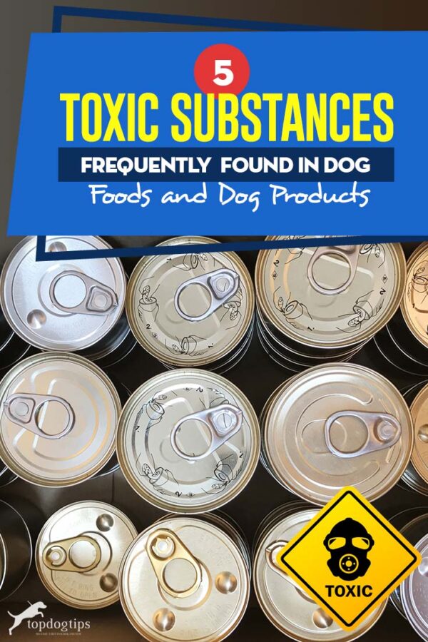 5 Toxic Substances Frequently Found in Pet Products and Pet Foods