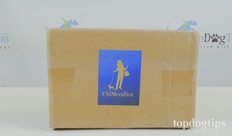 15 Best Dog Subscription Box (Updated 2023)