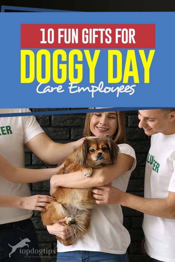 10 Best Gifts For Doggy Day Care Employees Top Dog Tips 10-best-gifts-for-doggy-day-care-employees-top-dog-tips