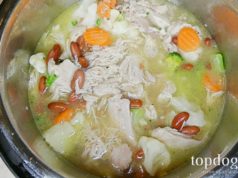 Homemade Dog Food for Chihuahua Recipe and Feeding Guide