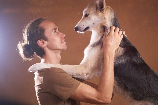 6 Advanced Dog Tricks You Have to Try – Top Dog Tips